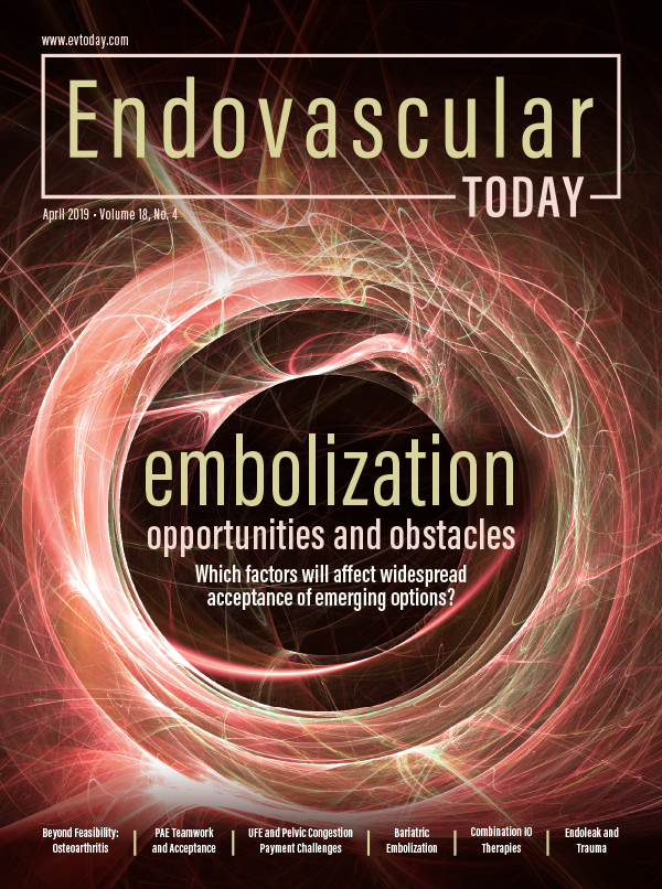 Ruby, POD, Packing Coil, and LANTERN: A Complete Embolization Platform ...